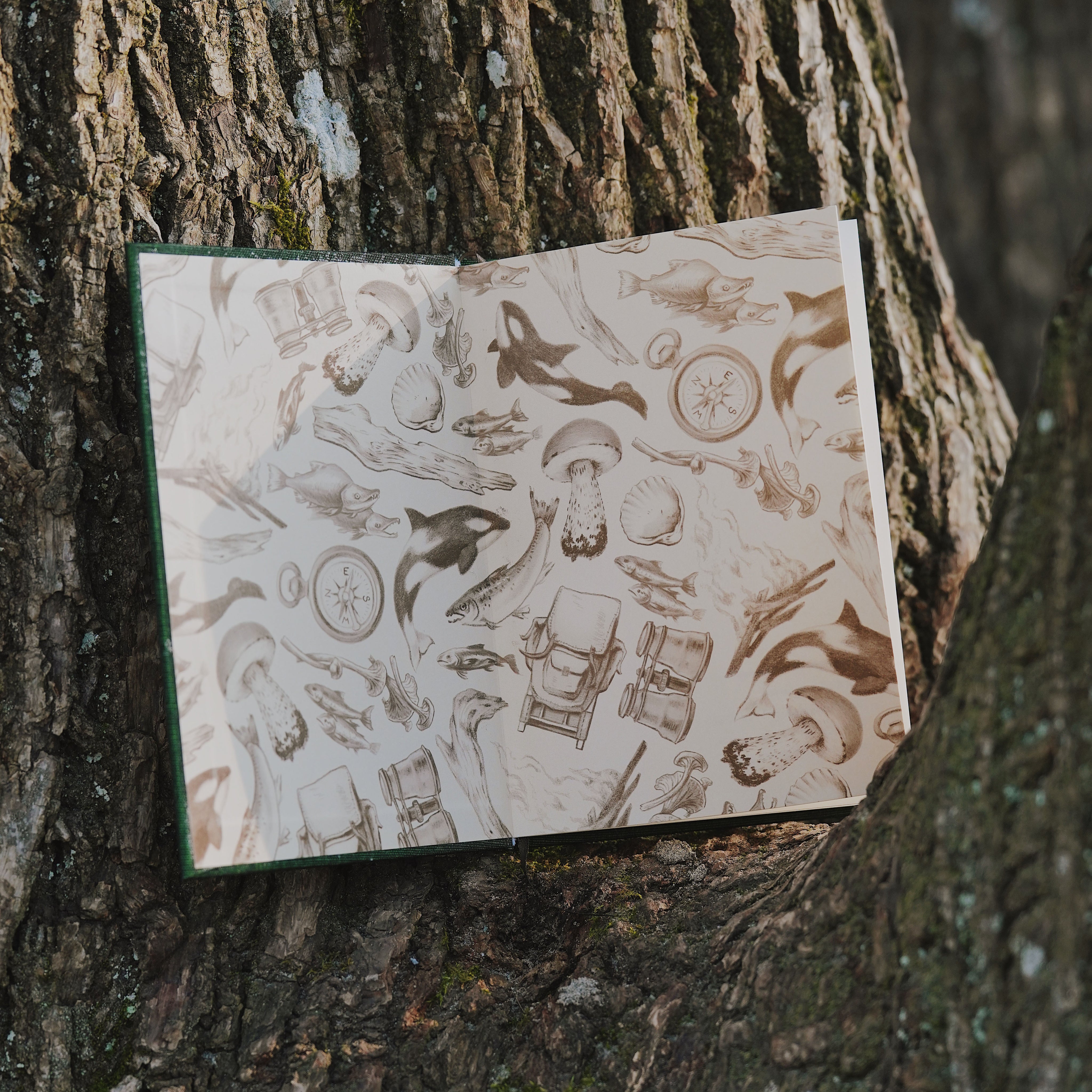 PNW: Card Games Inspired by the Pacific Northwest – Gameswell